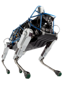 About Us - PROJECTCAGE